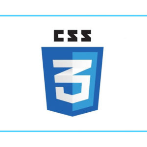 【CSS】マウスオーバーで下からテキストポップアップさせるおしゃれなデザインの実装法 | Qoocode